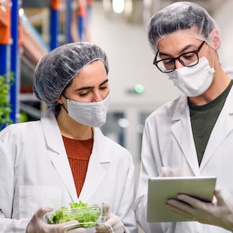 Gerencia de Inocuidad Alimentaria | MayuGo