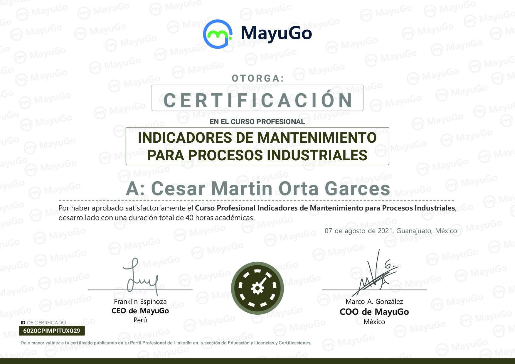 Perfil de Cesar Martin en MayuGo | Certificación en Indicadores de Mantenimiento para Procesos ...