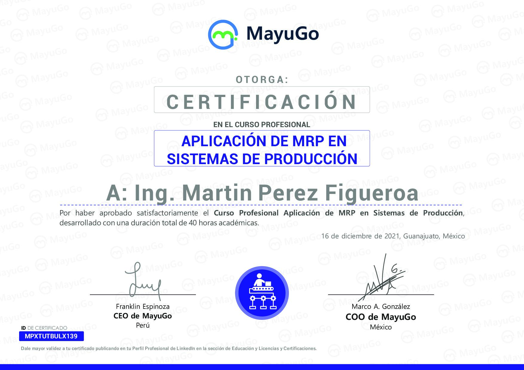 Perfil de Martin en MayuGo | Certificación en Aplicación de MRP en Sistemas de Producción